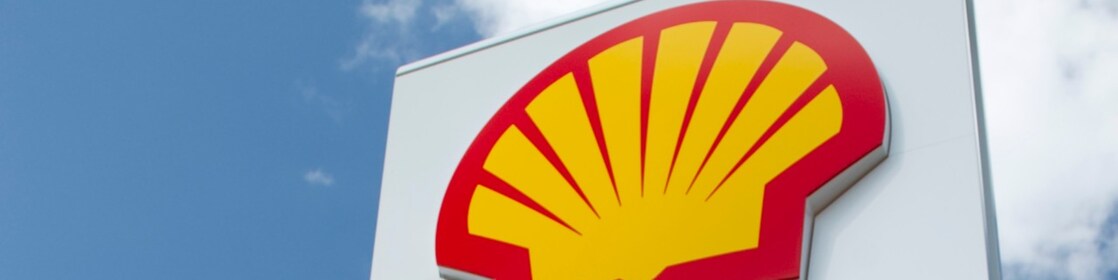 Shell Türkiye’den, daha iyi bir gelecek için ilk “Shell Türkiye Ormanı ...